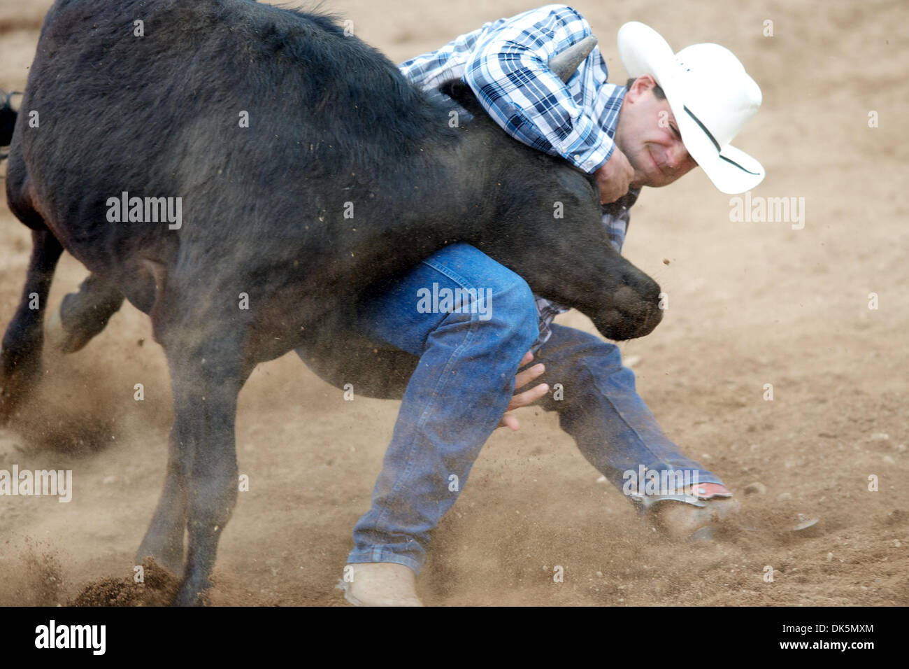 May 8, 2011 - Sonora, California, U.S - Steer wrestler Kenneth Lewis of ...