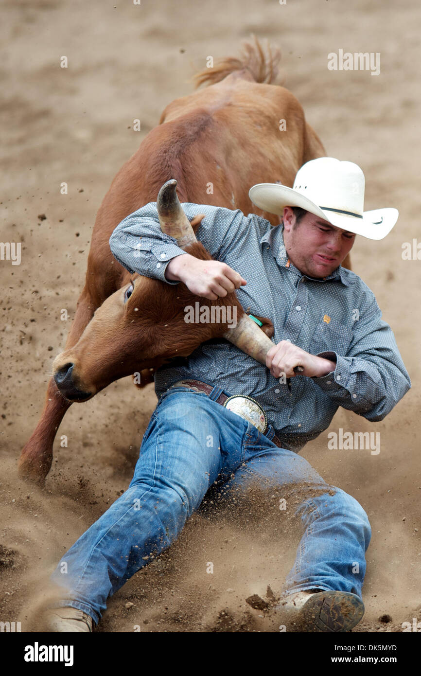 May 8, 2011 - Sonora, California, U.S - Steer wrestler Josh Garner of ...