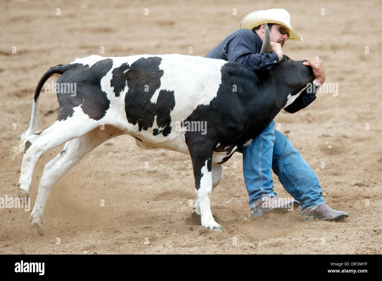 May 8, 2011 - Sonora, California, U.S - Steer wrestler Luke Branquinho ...