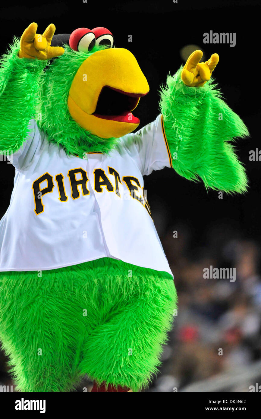 Pirate Parrot Mascot
