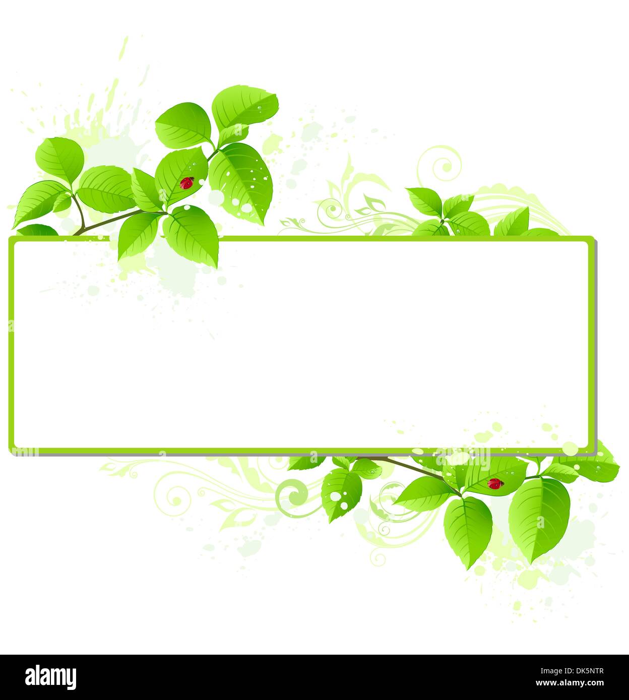 Green vector banner with leaves and floral ornament Stock Vector Image ...