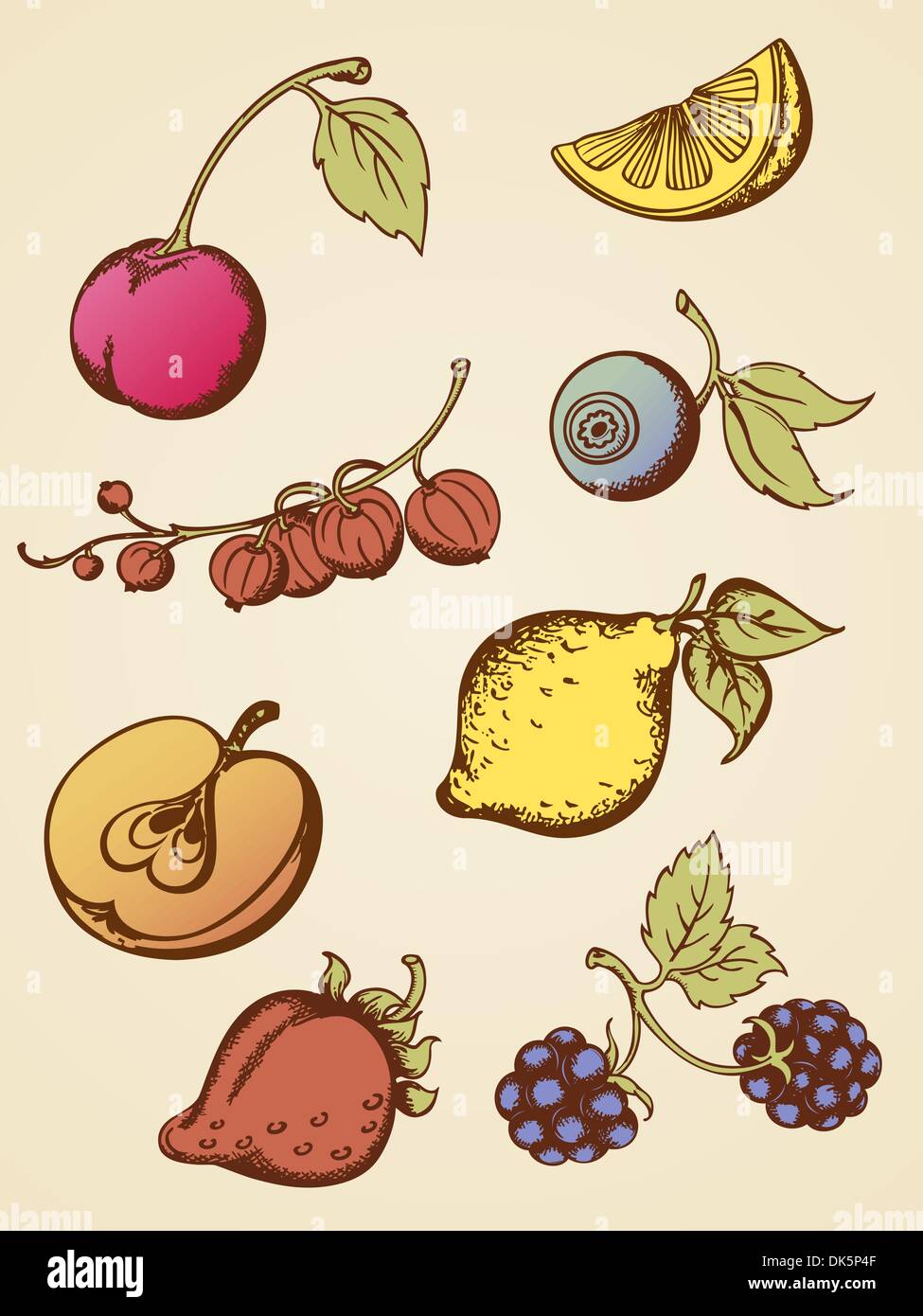 set of hand drawn vintage fruits Stock Vector Image & Art - Alamy