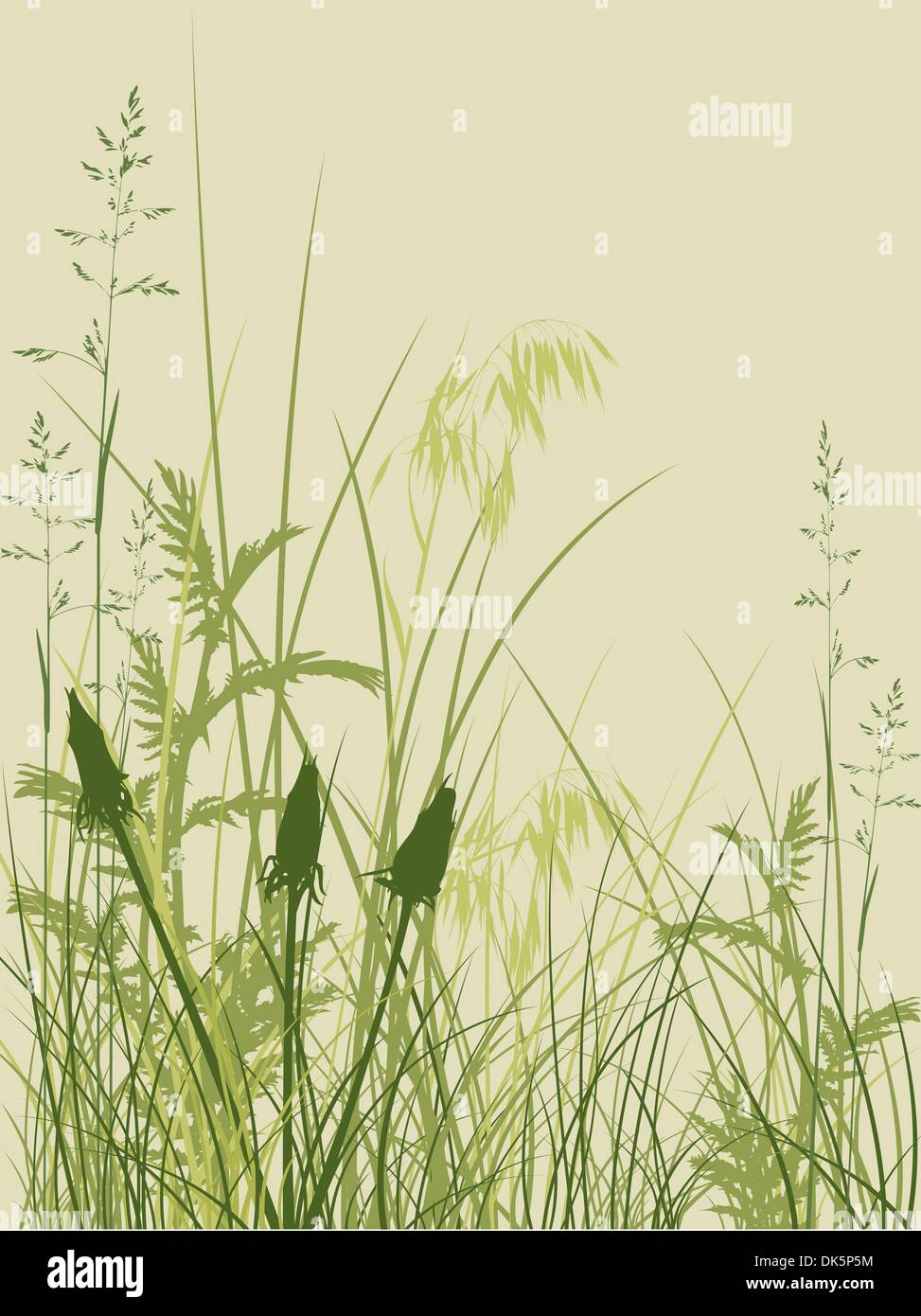 background with green grass and flowers Stock Vector Image & Art - Alamy