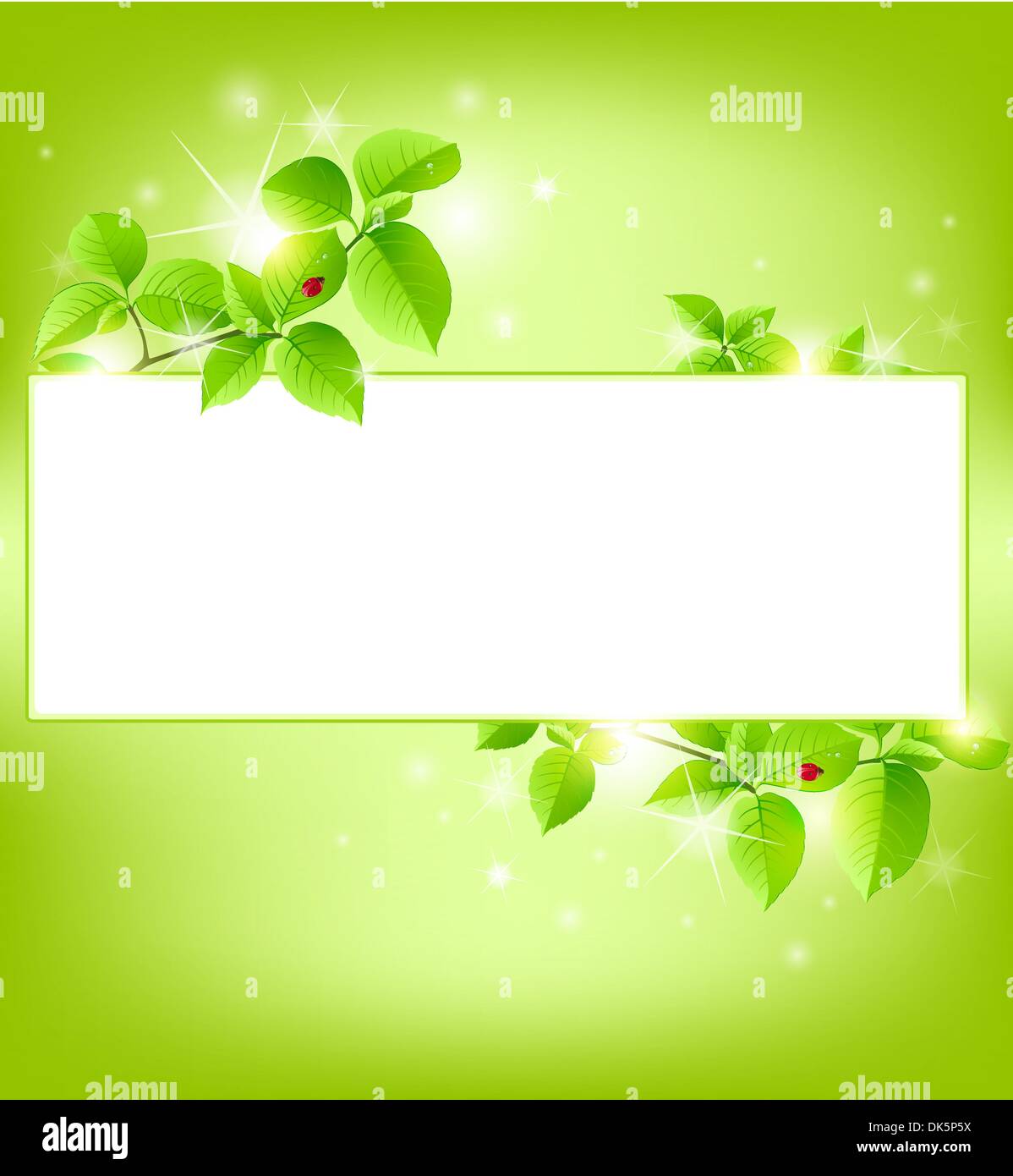 luxury shining green vector banner with leaves Stock Vector Image & Art ...
