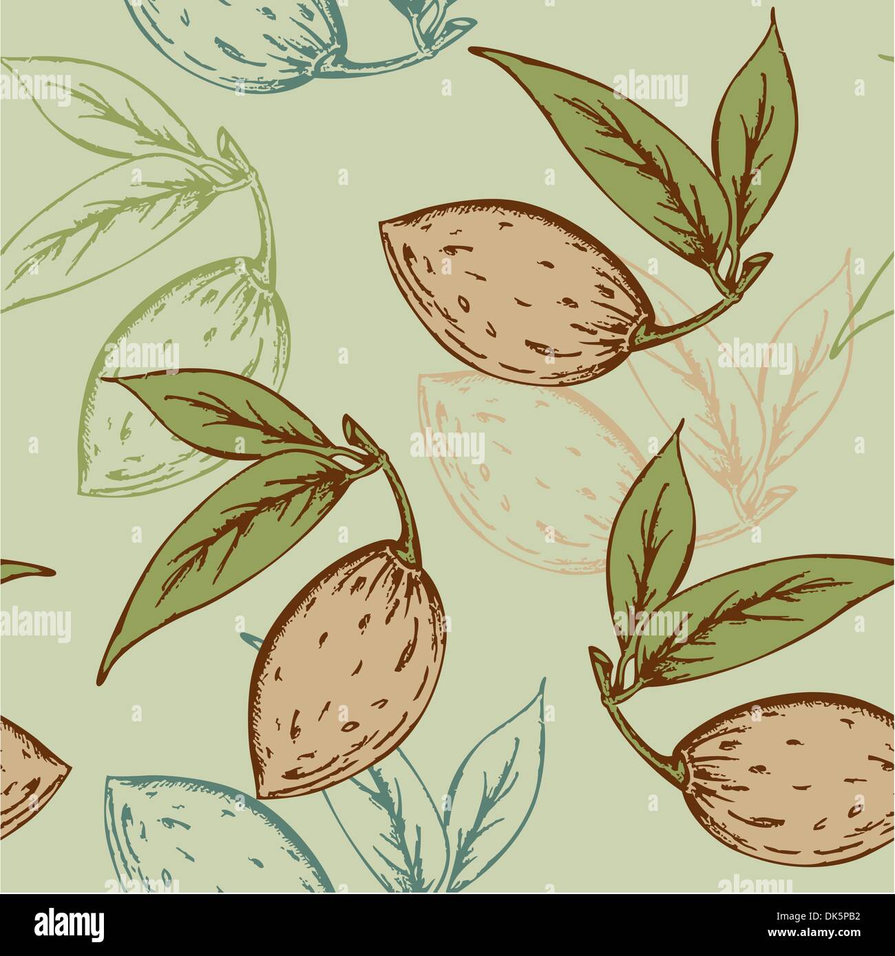 Almond Stock Vector Images - Alamy