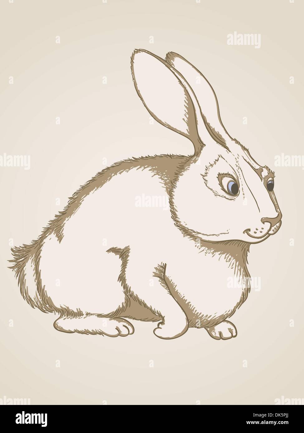 Vector vintage hand drawn rabbit Stock Vector Image & Art - Alamy