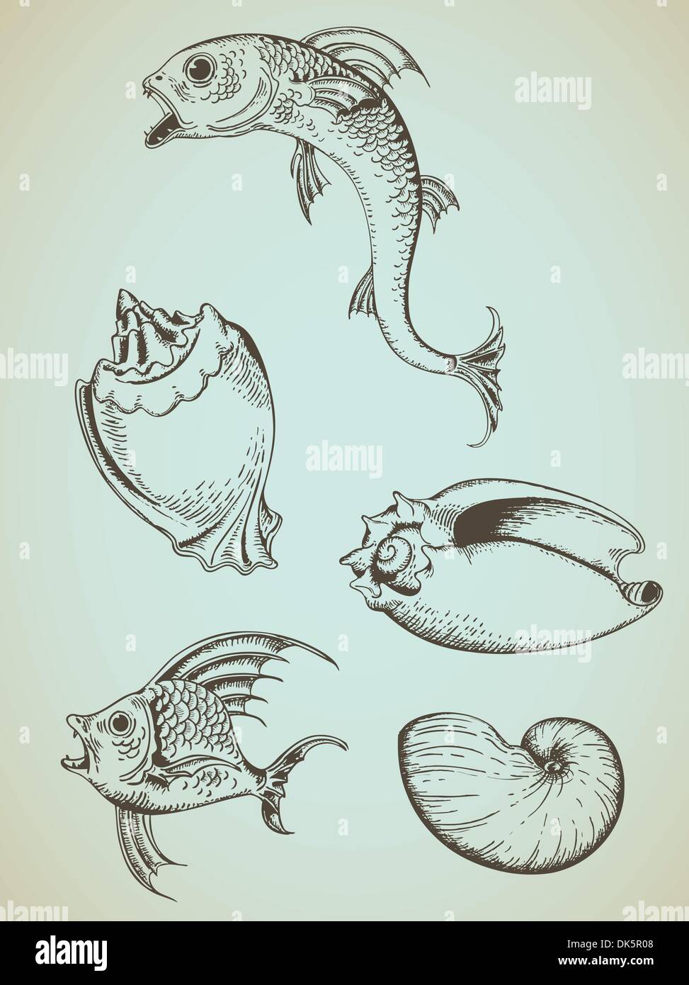 vintage hand drawn fish and marine shells Stock Vector Image & Art - Alamy