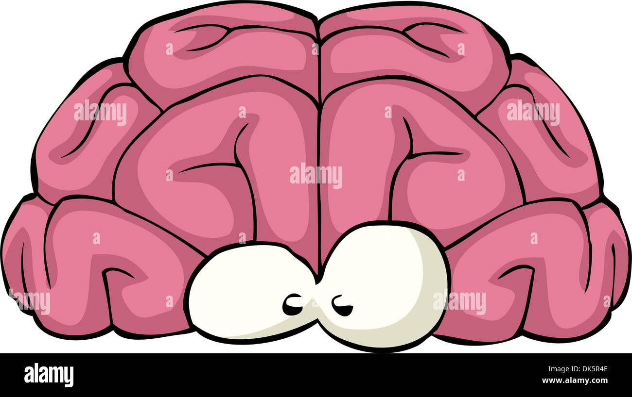 Brain on a white background, vector illustration Stock Vector Image ...