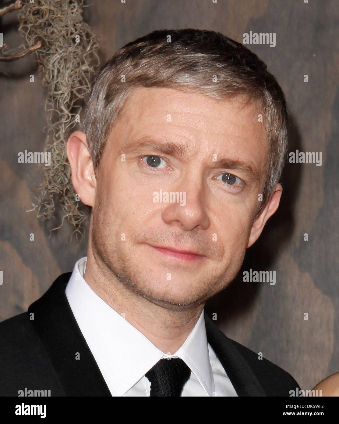 Los Angeles, CA, USA. 2nd Dec, 2013. Martin Freeman at arrivals for THE ...