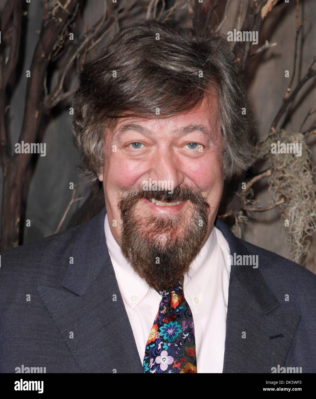 Los Angeles, CA, USA. 2nd Dec, 2013. Stephen Fry at arrivals for THE ...