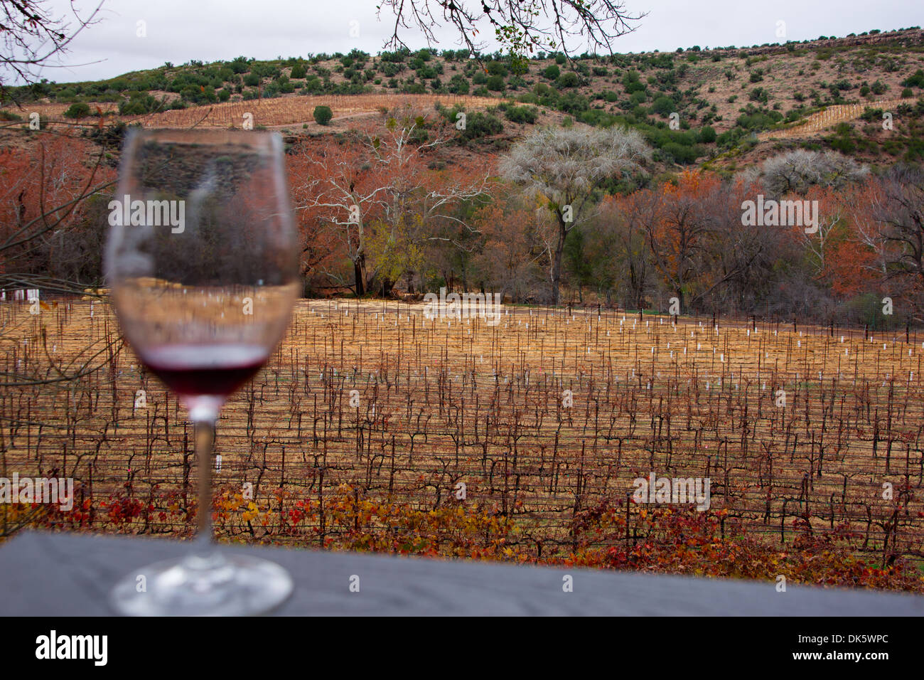 Orange vineyard hi-res stock photography and images - Alamy