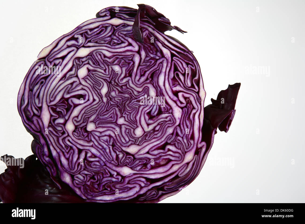 Red cabbage closeup Stock Photo - Alamy