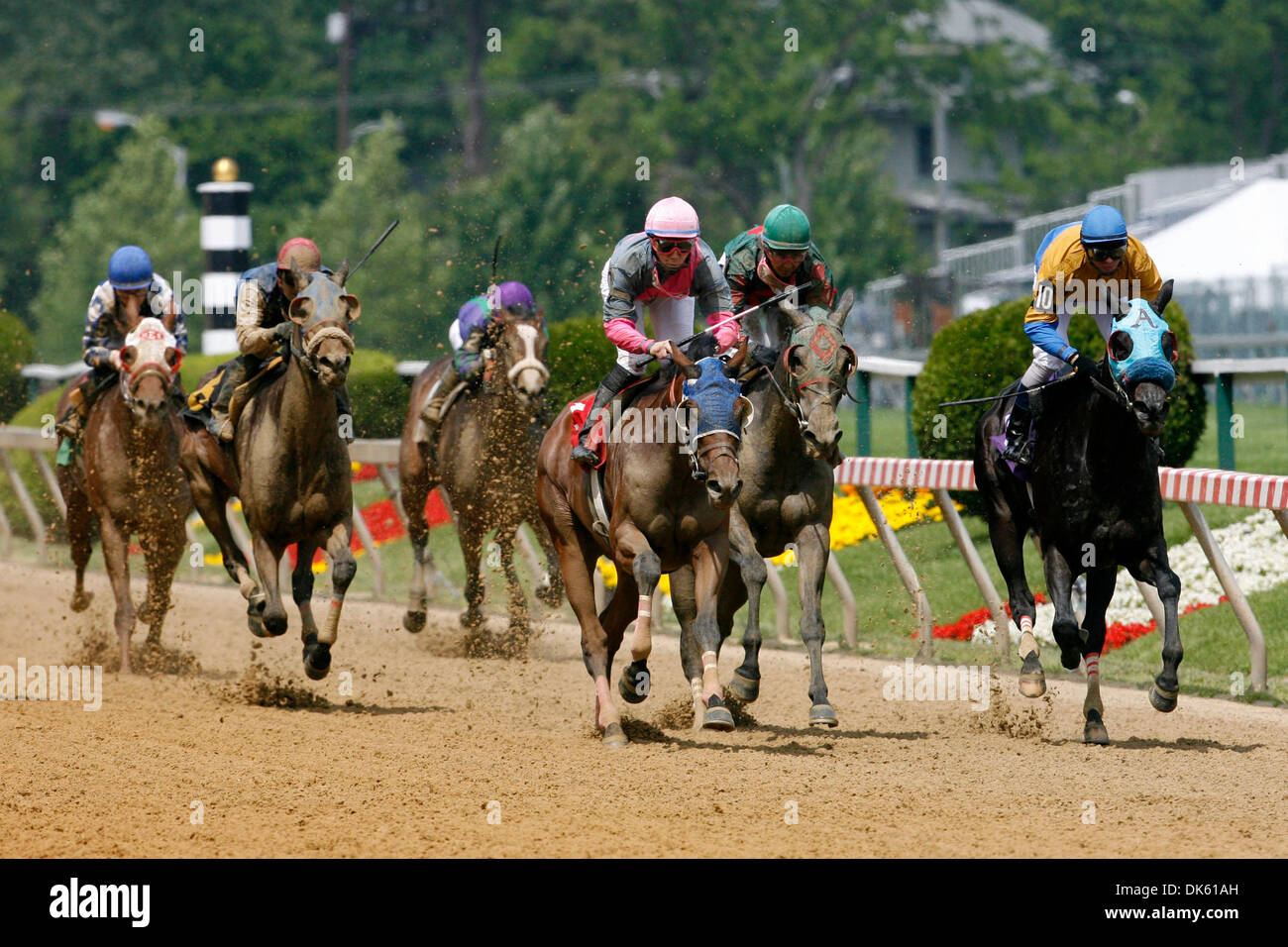 May 20, 2011 - Baltimore, Maryland, U.S. - Horses come down the strech ...