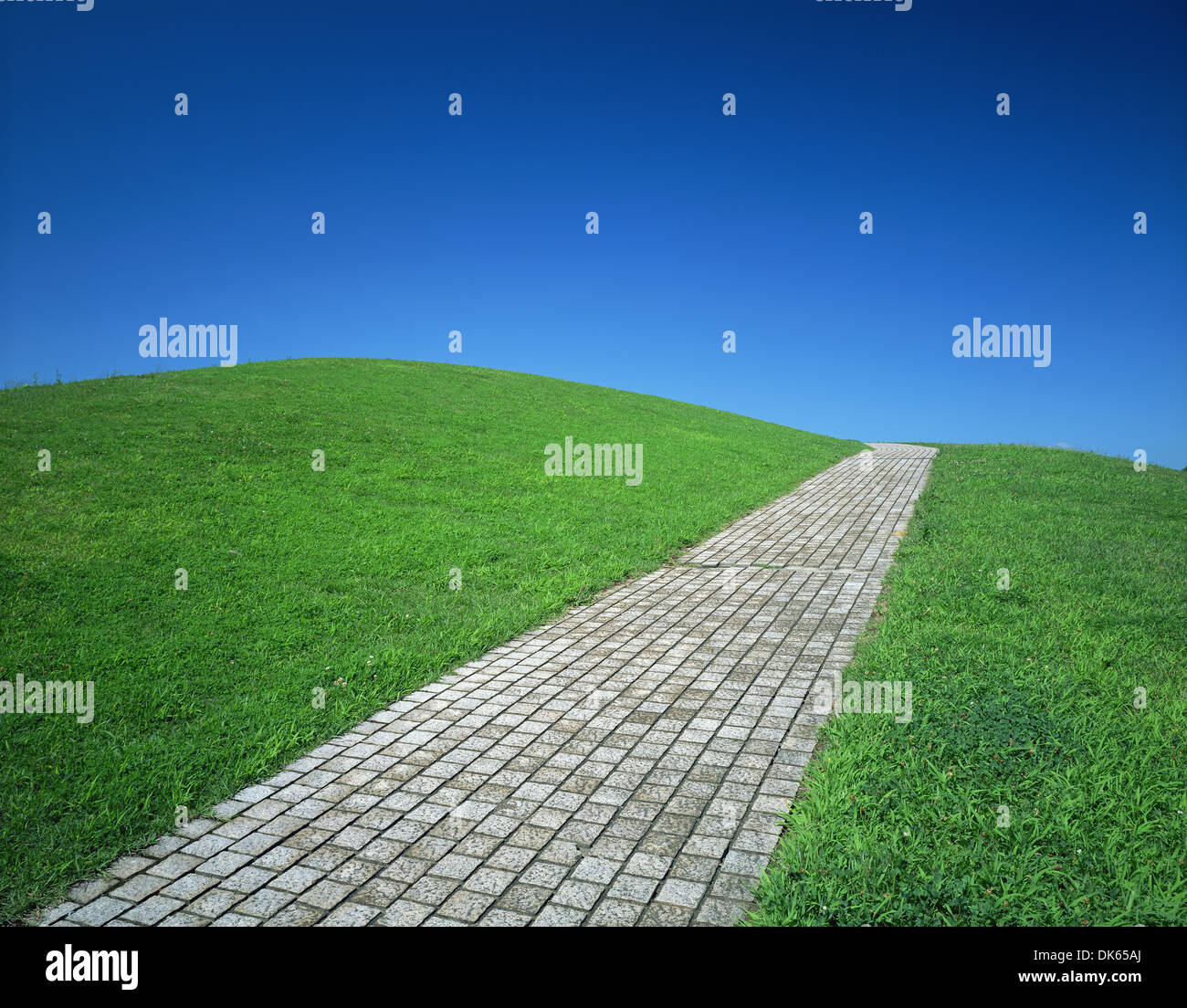 Paved Path across Green Grass Stock Photo - Alamy