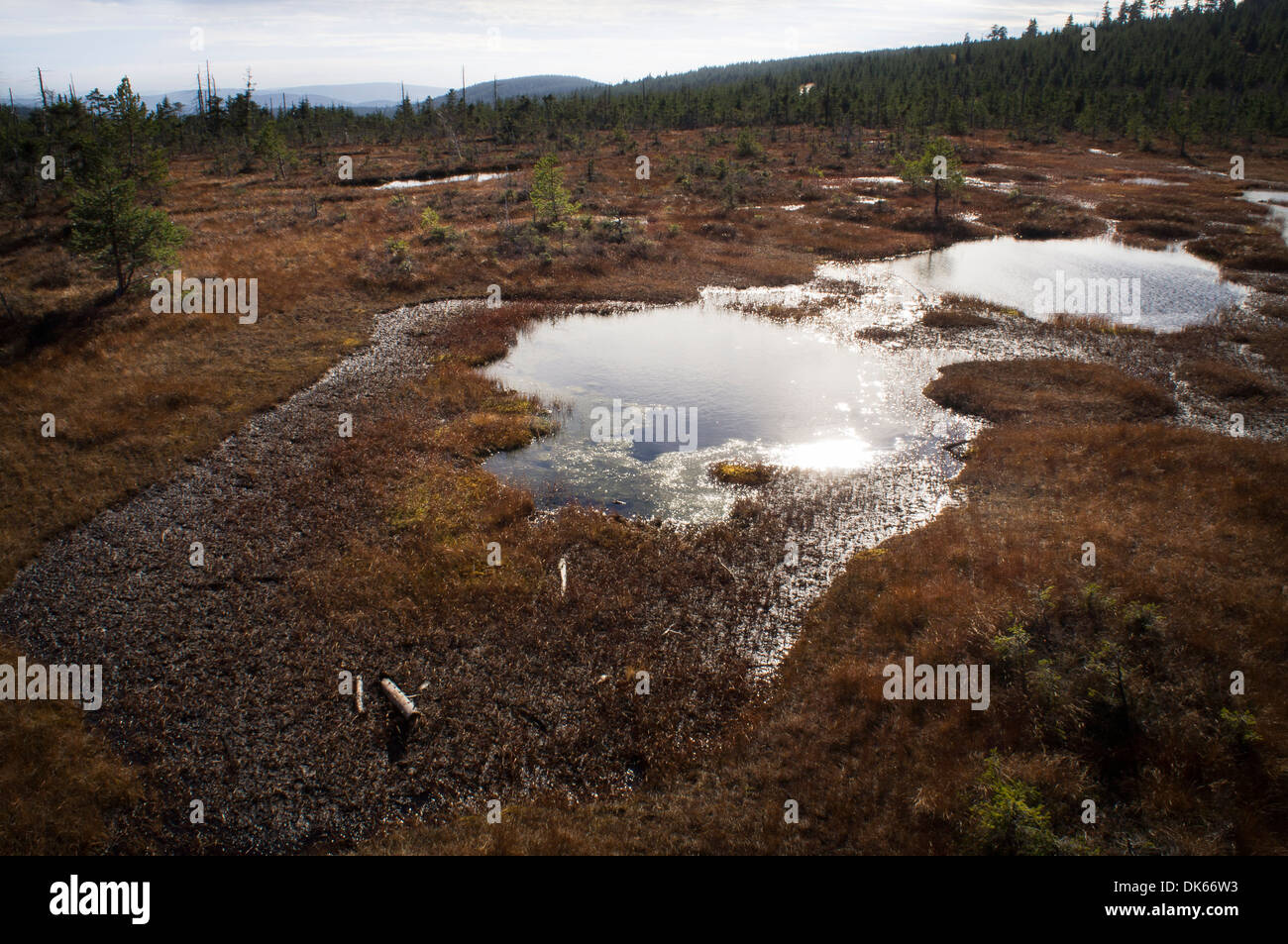 Na Cihadle peat moors Stock Photo - Alamy