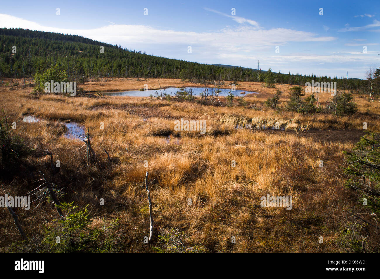 Na Cihadle peat moors Stock Photo - Alamy