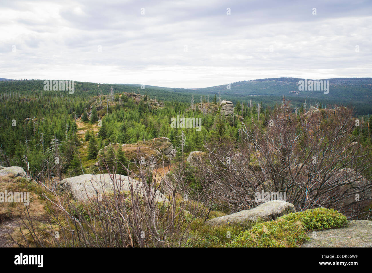 Jizera (Izera) Mountains Stock Photo - Alamy