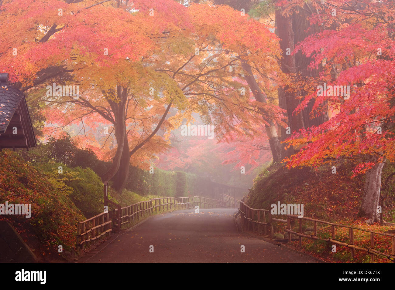 Profound colors hi-res stock photography and images - Alamy