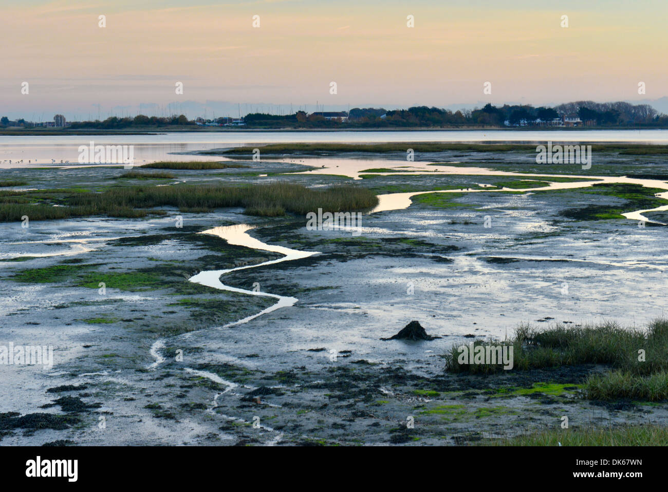 Seashore mudflats hi-res stock photography and images - Alamy