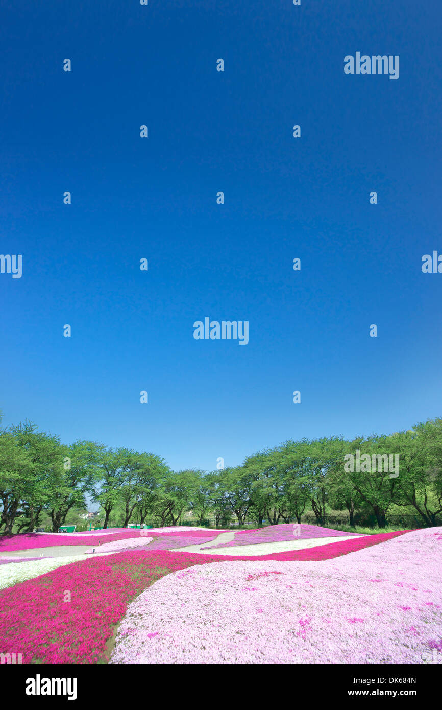 Gunma hi-res stock photography and images - Alamy