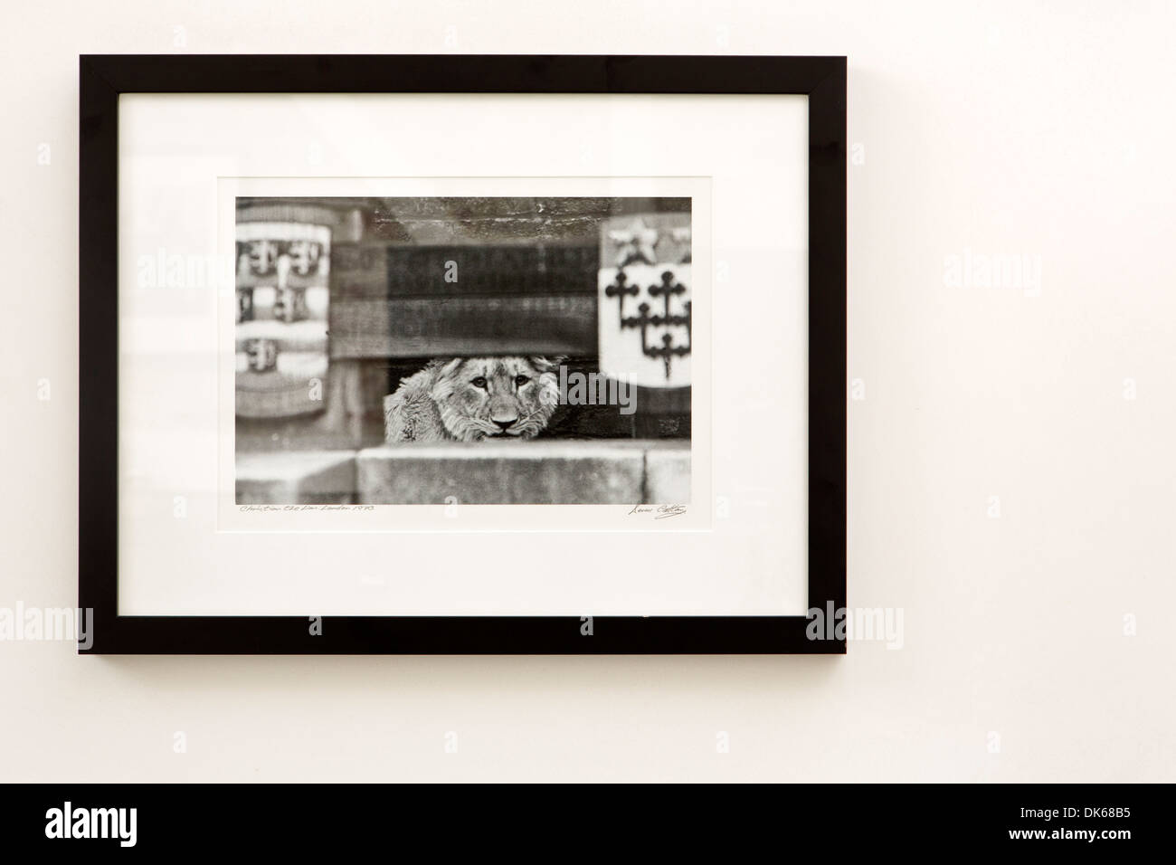 Ghizlan el glaoui hi-res stock photography and images - Alamy