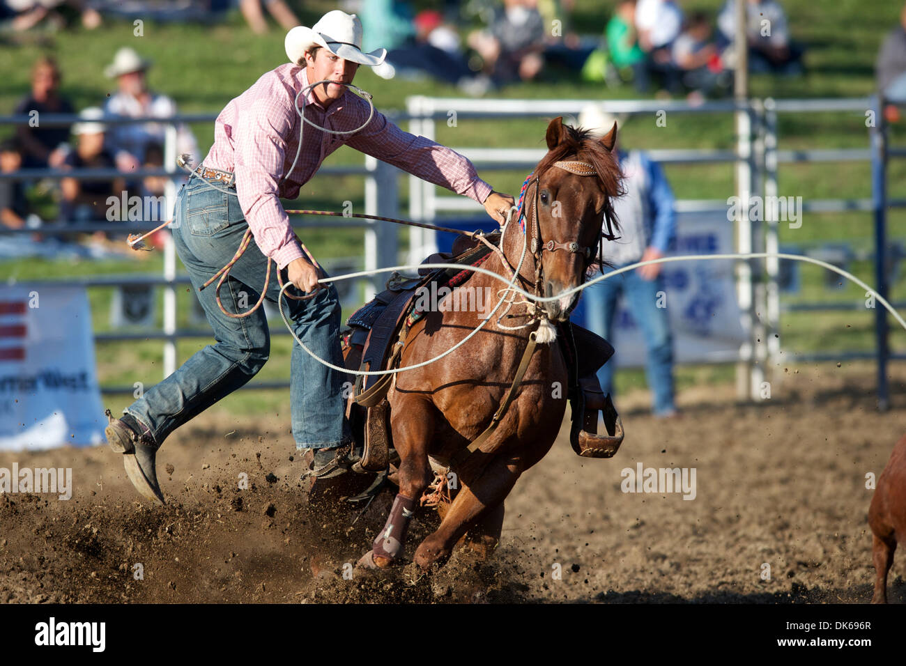 May 29, 2011 - Marysville, California, U.S - Tie-down roper Chant ...
