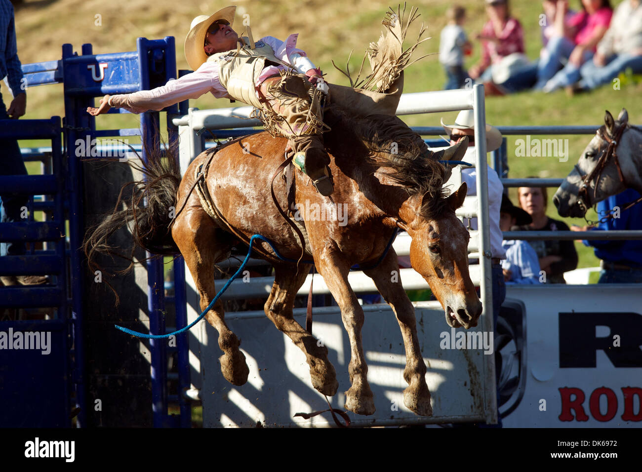 Moody ts hi-res stock photography and images - Alamy