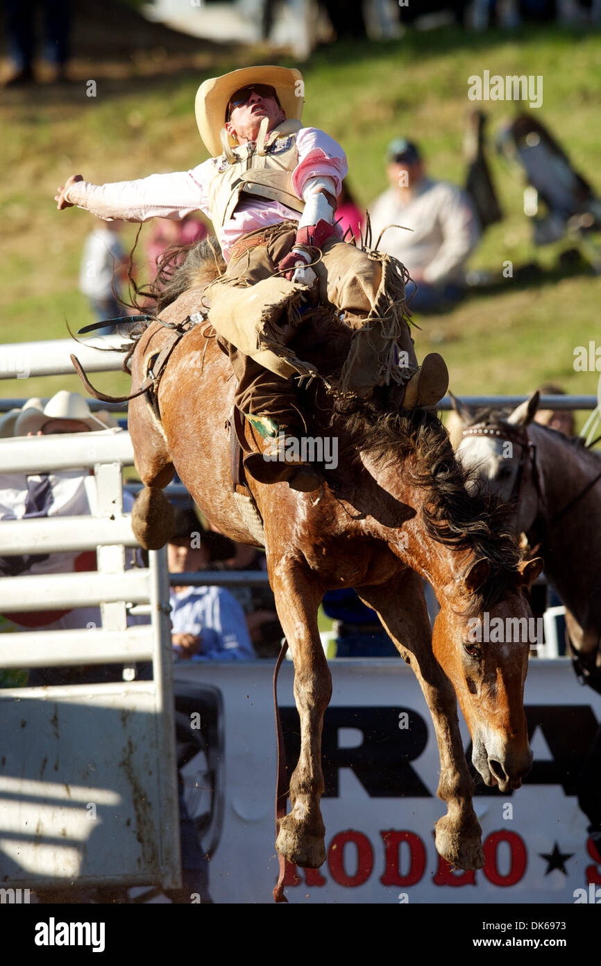 Moody ts hi-res stock photography and images - Alamy