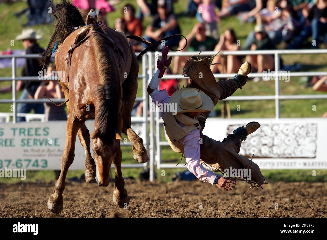 Moody ts hi-res stock photography and images - Alamy