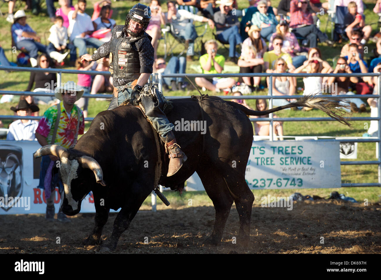 May 29, 2011 - Marysville, California, U.S - Cody Hawkins of Alta, CA ...