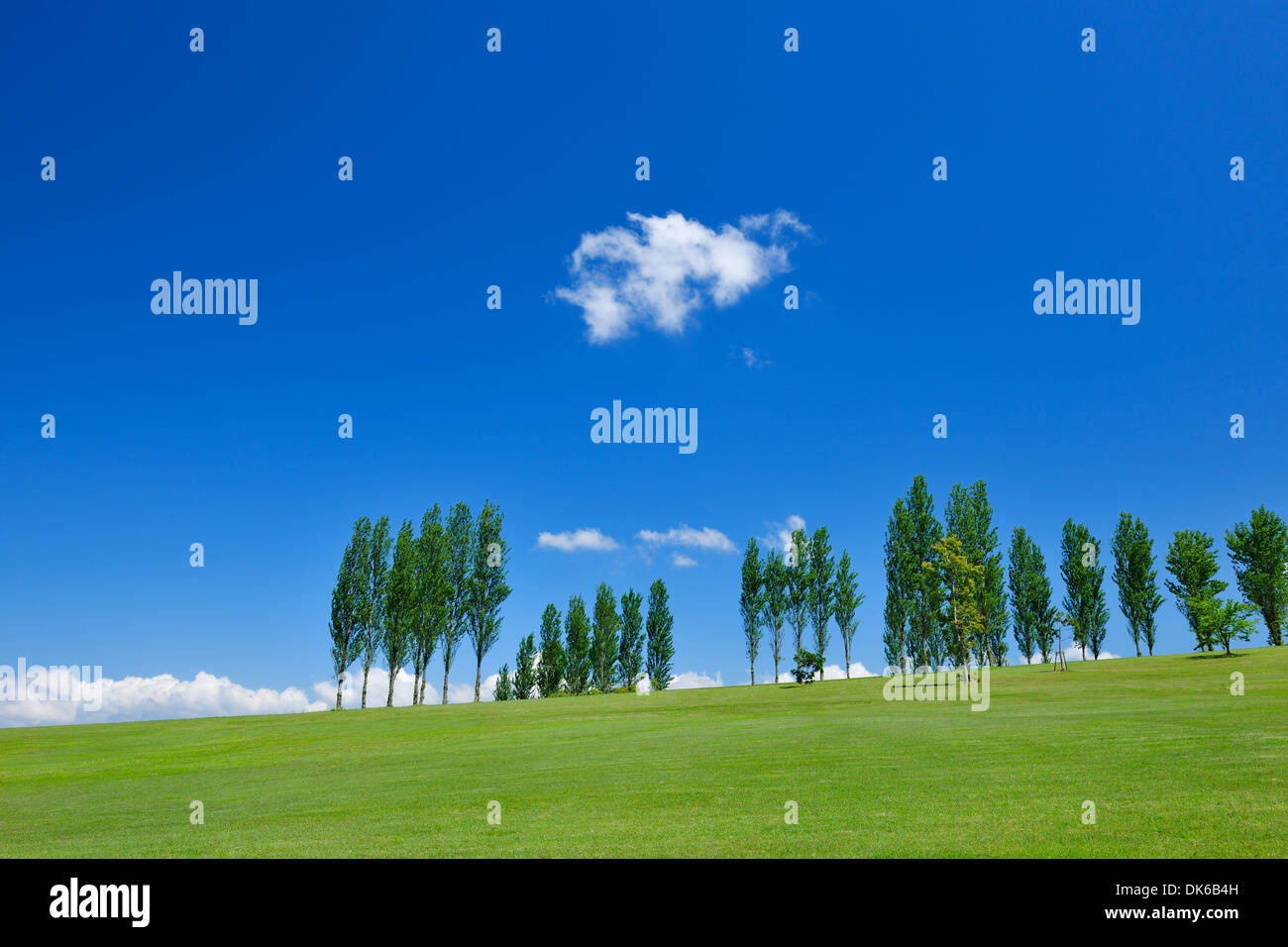 Niigata Prefecture, Japan Stock Photo - Alamy