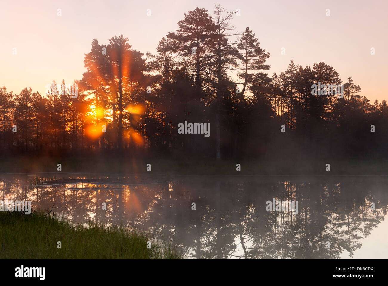 Sun behind forest hi-res stock photography and images - Alamy