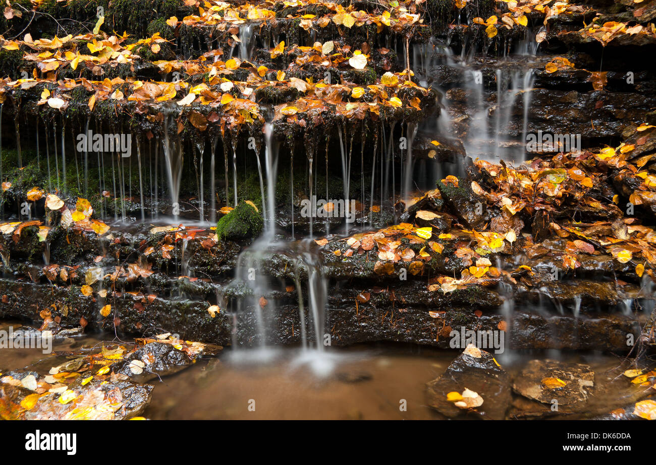 Waterfall water nature leaves hi-res stock photography and images - Alamy