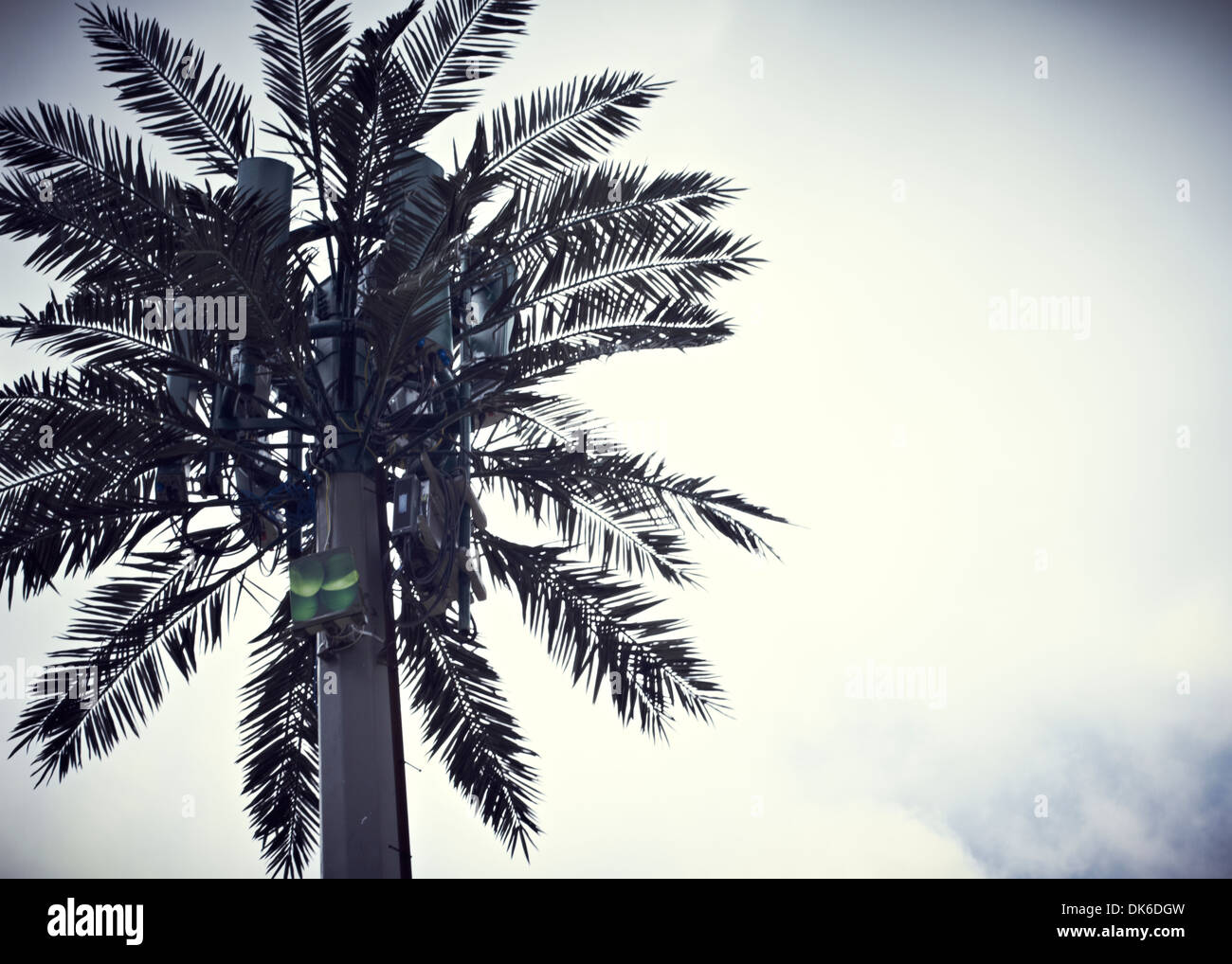 Phone mast tree hi-res stock photography and images - Alamy