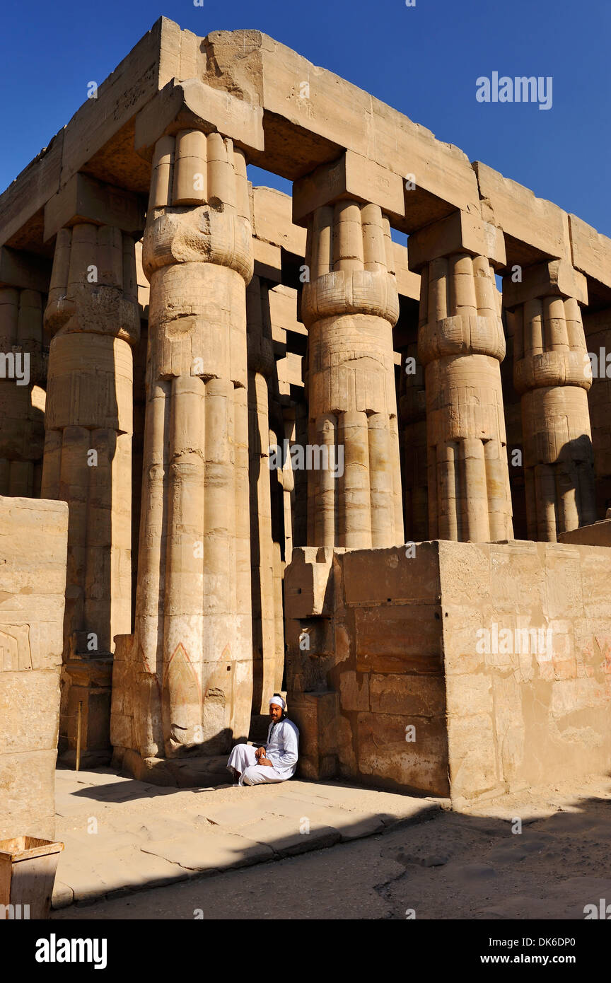 Papyrus bud hi-res stock photography and images - Alamy