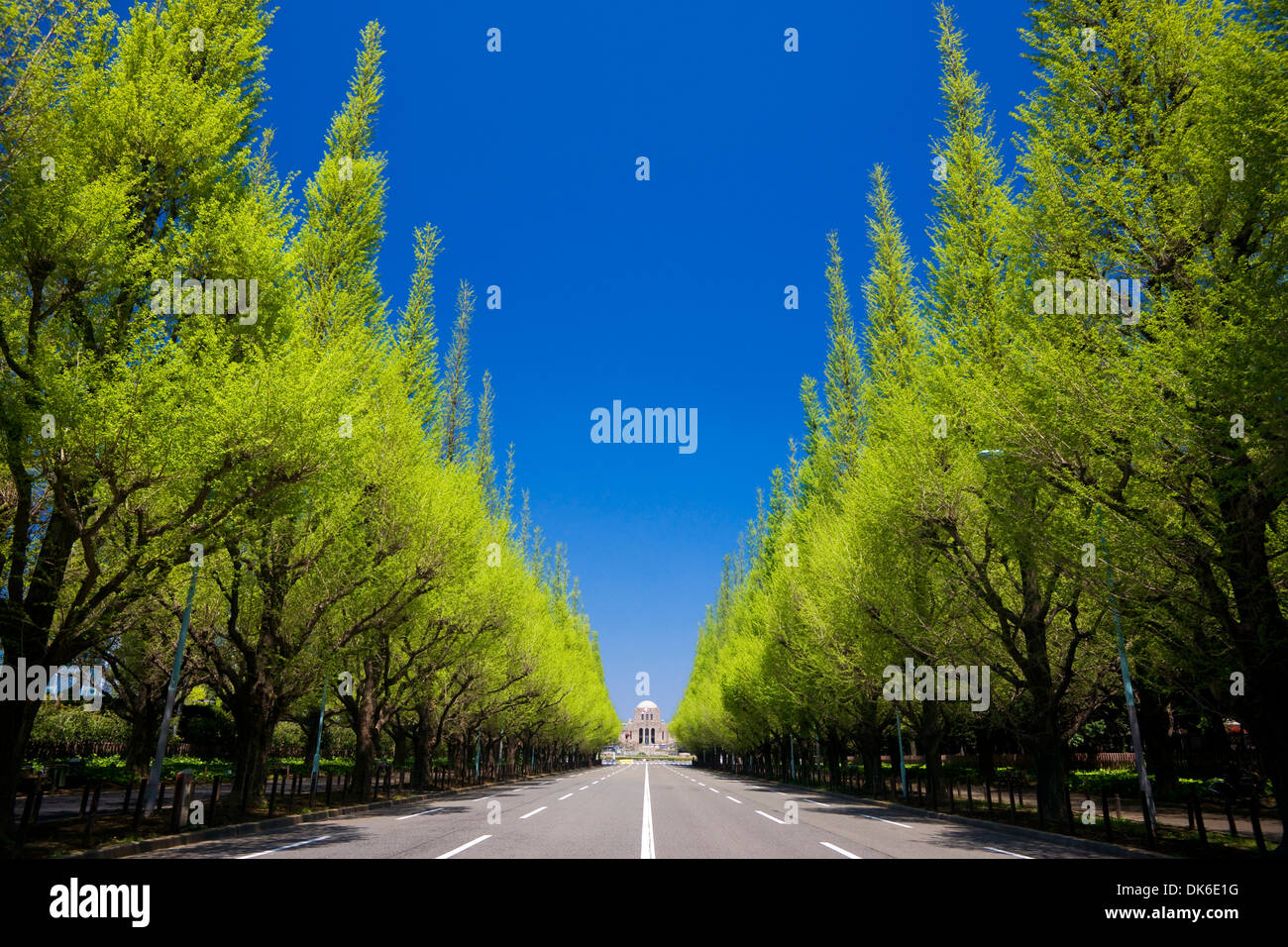 Tokyo gallery hi-res stock photography and images - Alamy