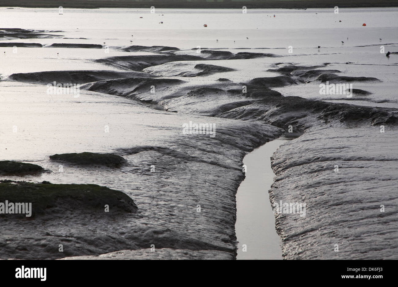 Silt deposition hi-res stock photography and images - Alamy