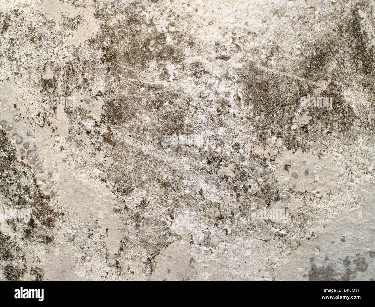cement texture , cement, concrete texture, cement wall, texture, cement ...