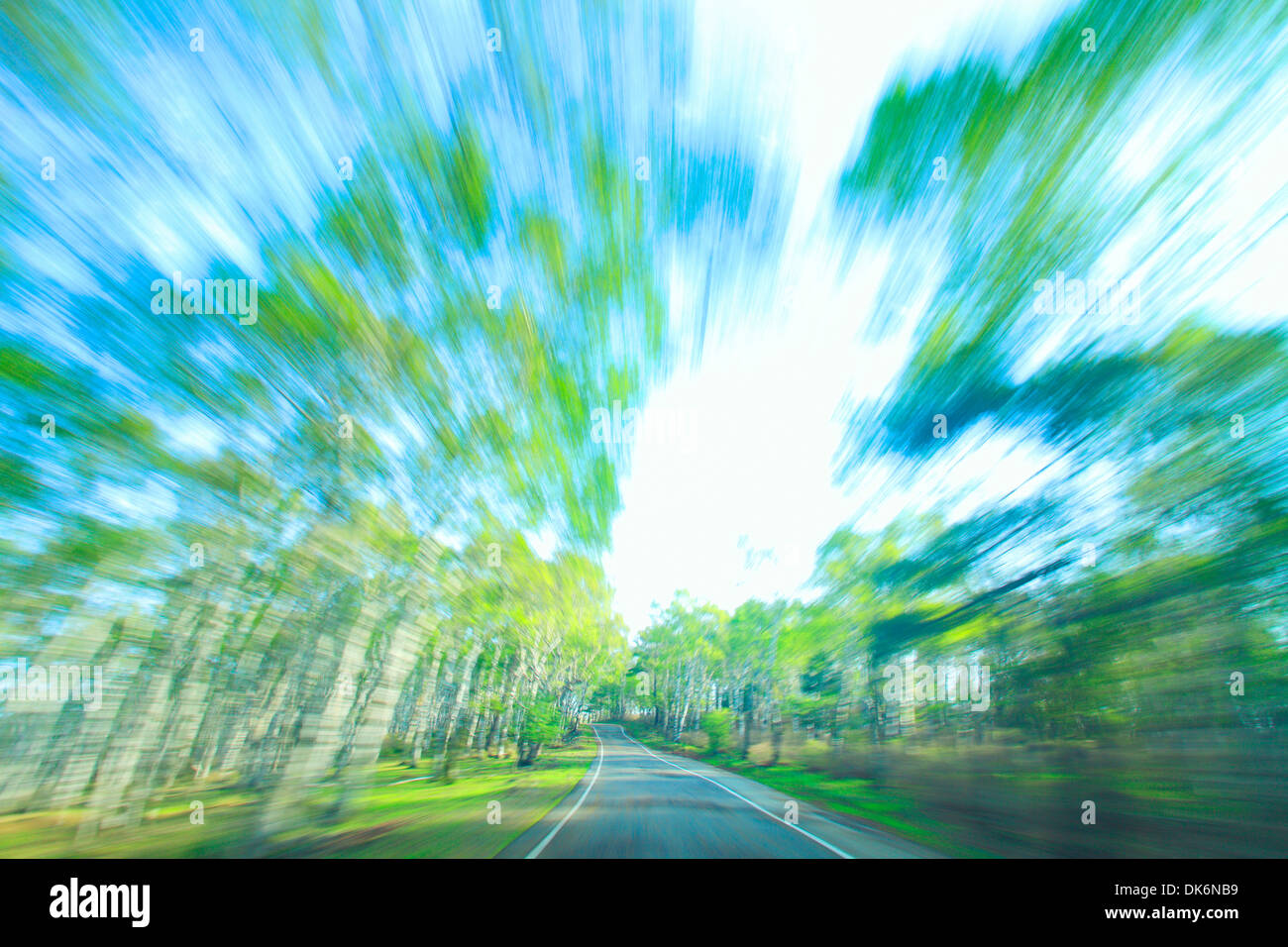 Driving branch hi-res stock photography and images - Alamy