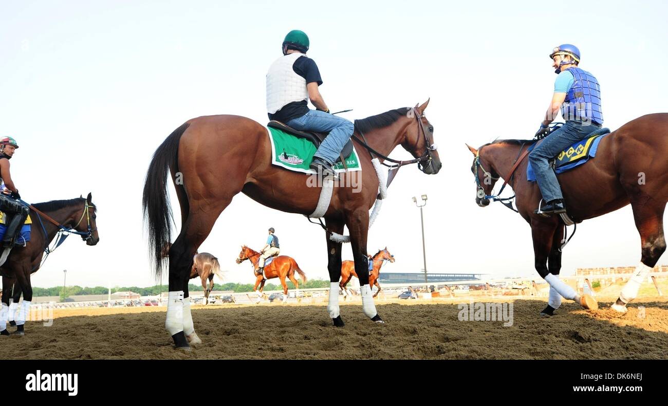 June 8, 2011 - Elmont, New York, U.S. - Belmont Stakes entrant MUCHO ...