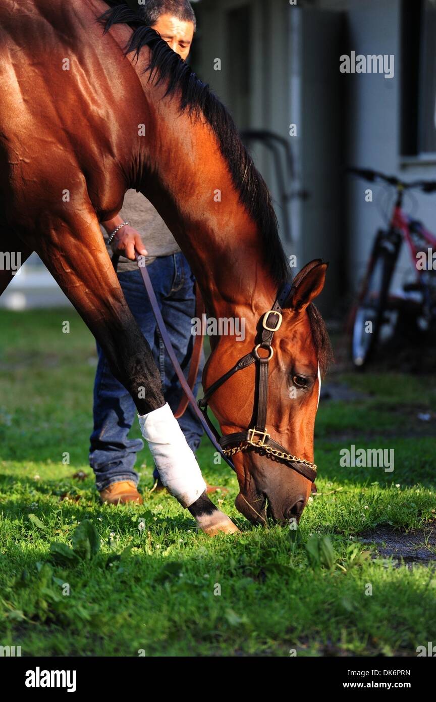 Mucho macho man hi-res stock photography and images - Alamy