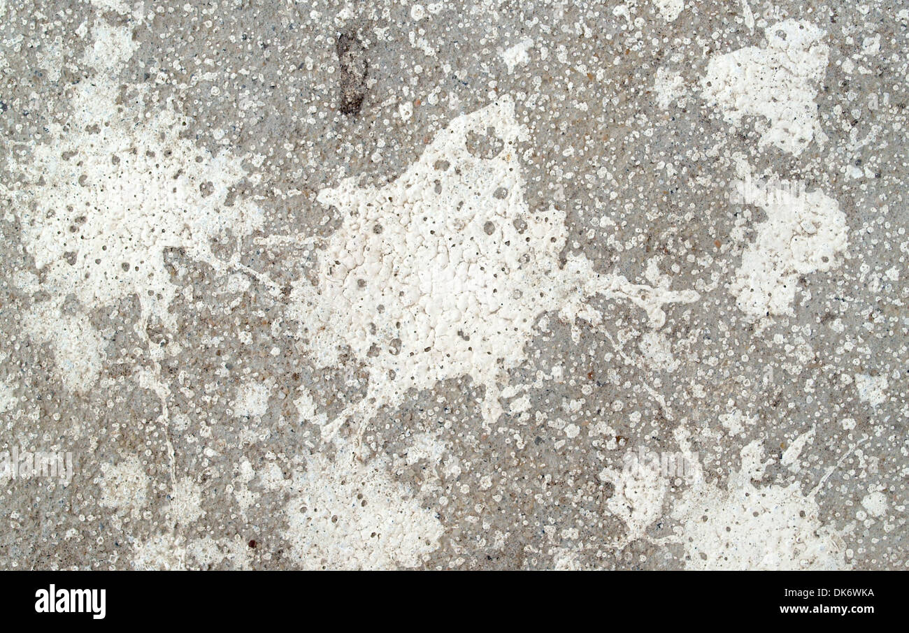 cement wall texture Stock Photo - Alamy