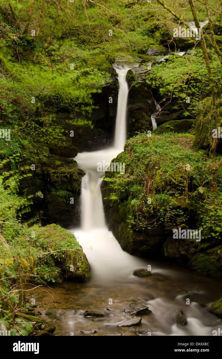 Devon Falls High Resolution Stock Photography and Images - Alamy