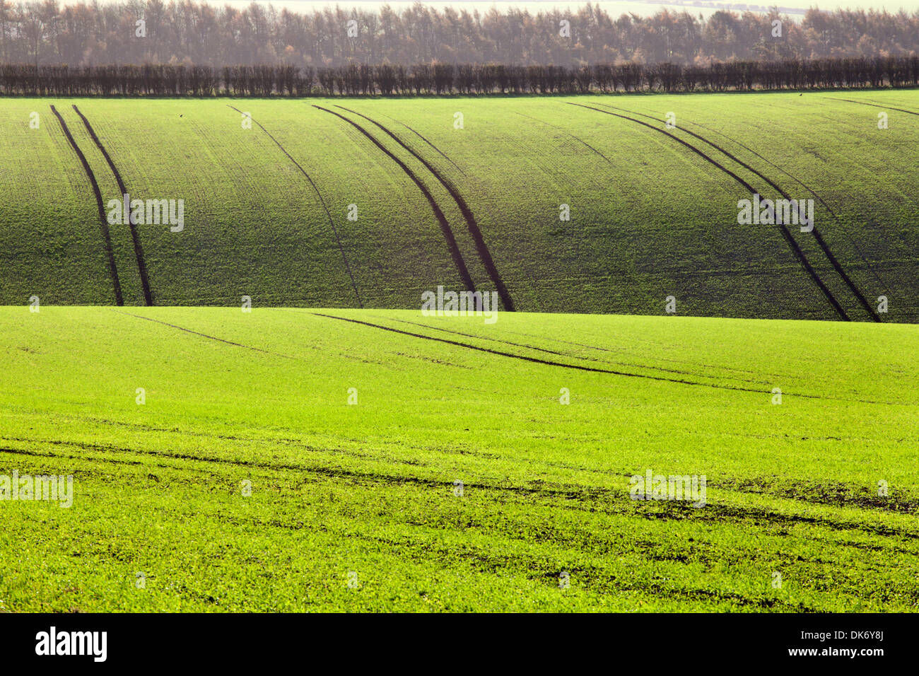 Green rolling fields hi-res stock photography and images - Alamy