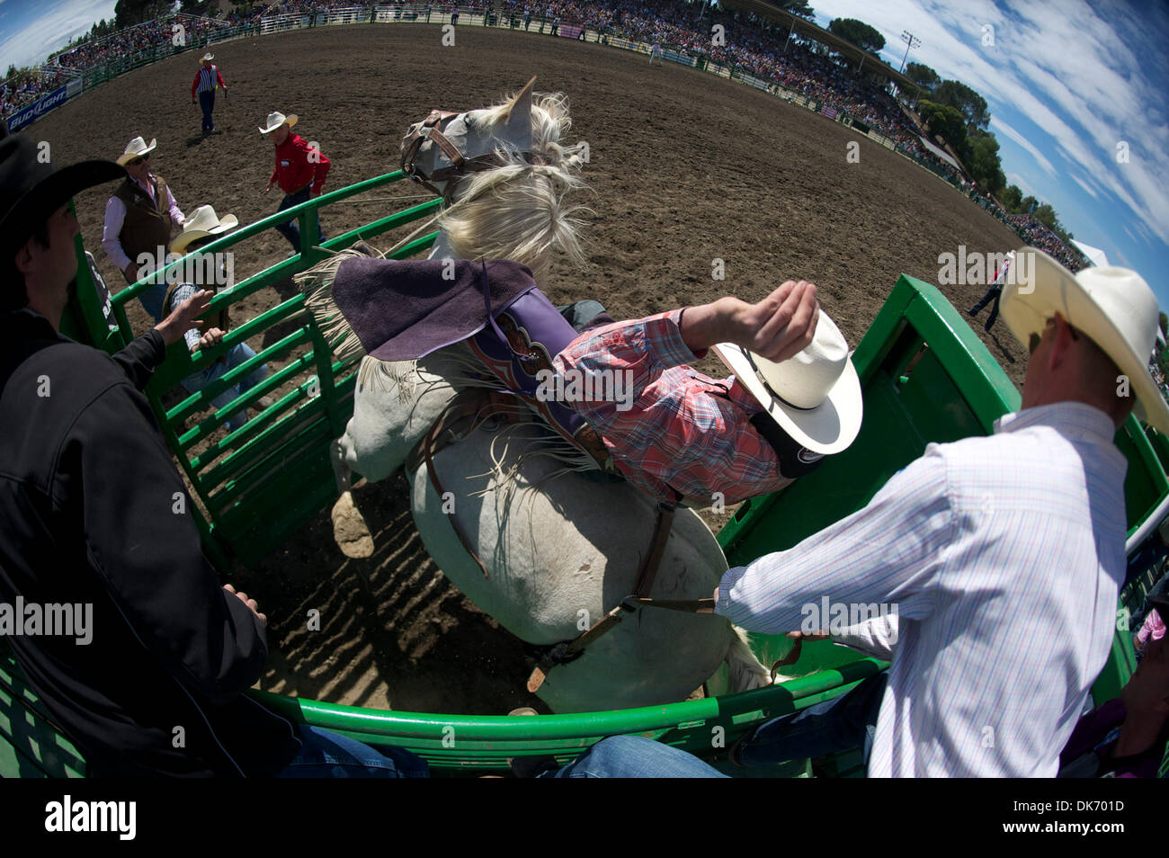 Brian bain hi-res stock photography and images - Alamy