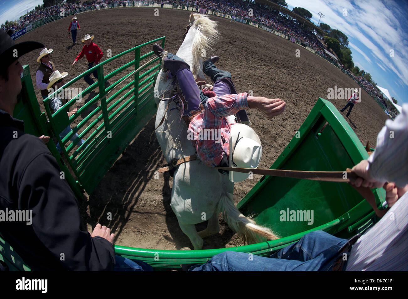 Brian bain hi-res stock photography and images - Alamy