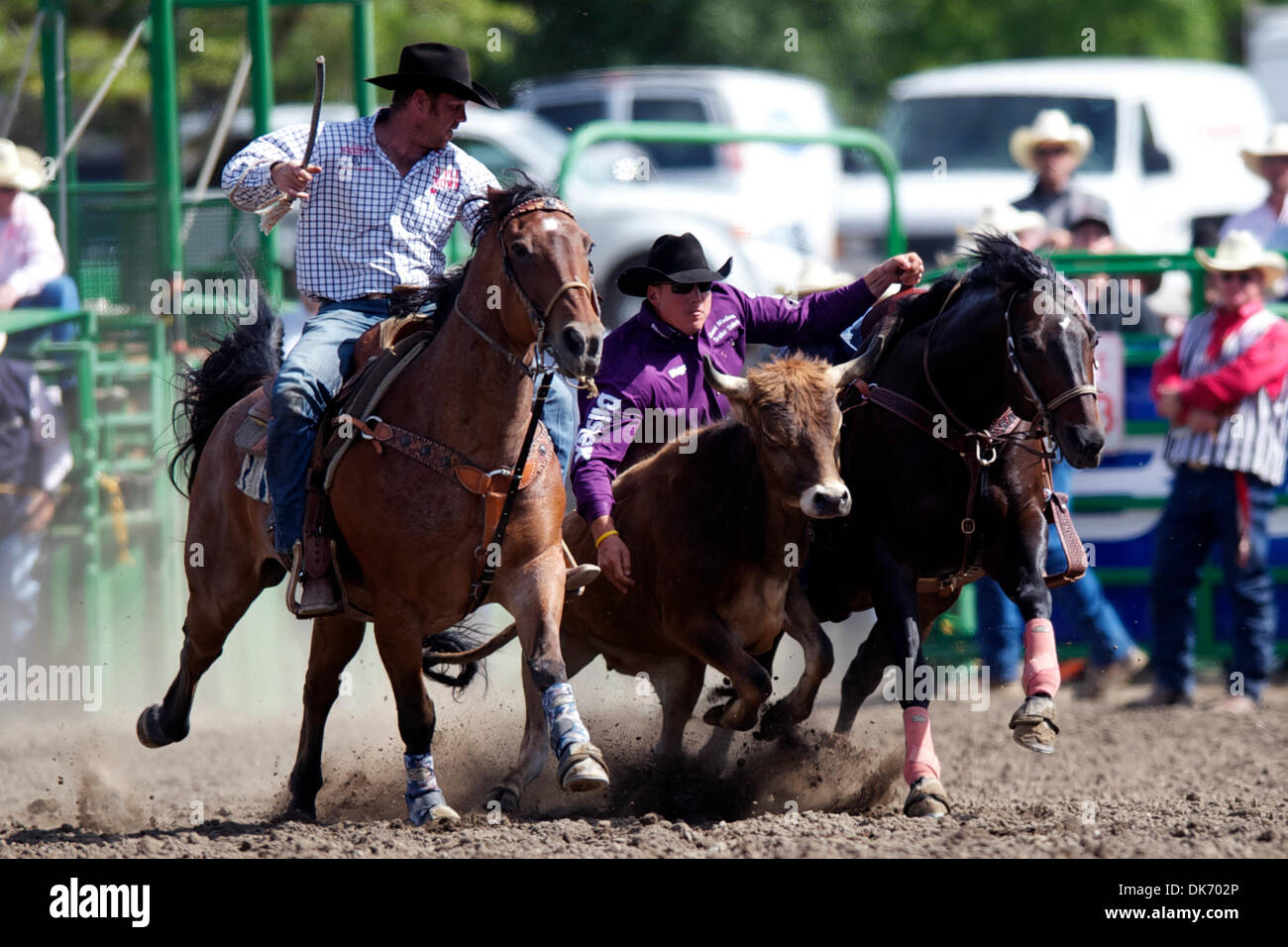 June 11, 2011 - Livermore, California, U.S - Steer wrestler Levi Rosser ...