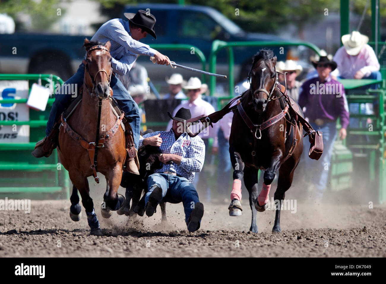 June 11, 2011 - Livermore, California, U.S - Steer wrestler Ethan ...