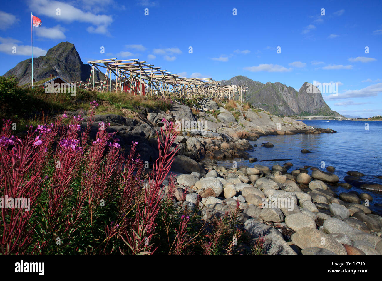 Drying racks in Reine, Lofoten Islands, Nordland, Norway, Scandinavia ...