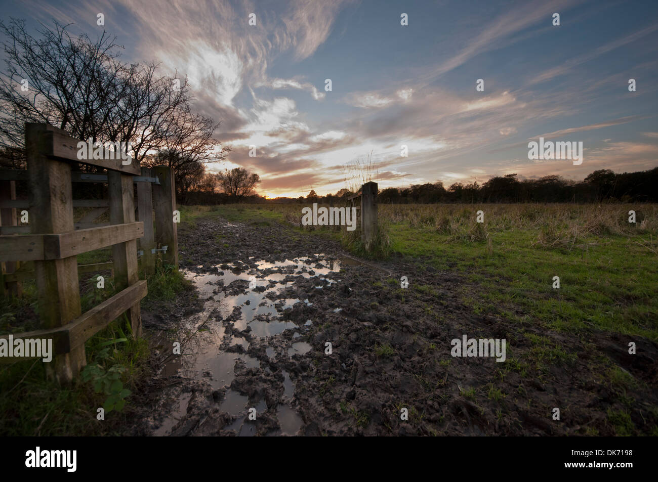 Muddy path mud Stock Photo - Alamy